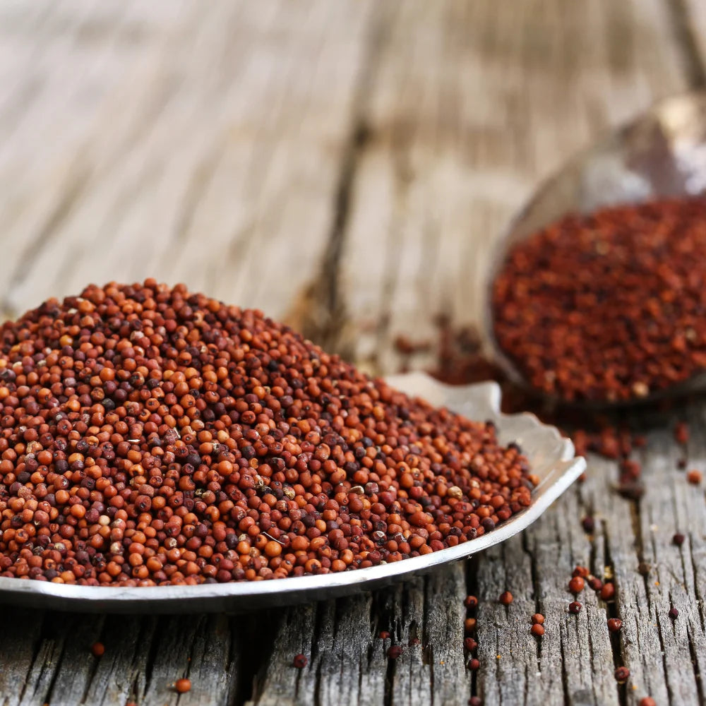 Where to get Millet (Red millet) - Wimbi in Nairobi & Kenya – KALONJI ...