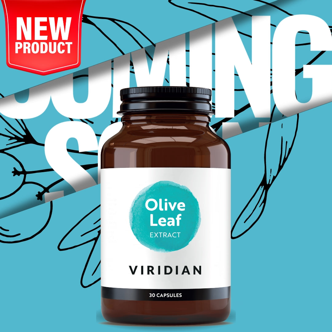 Where to get Olive Leaf Extract Capsules in Nairobi & Kenya – KALONJI ...